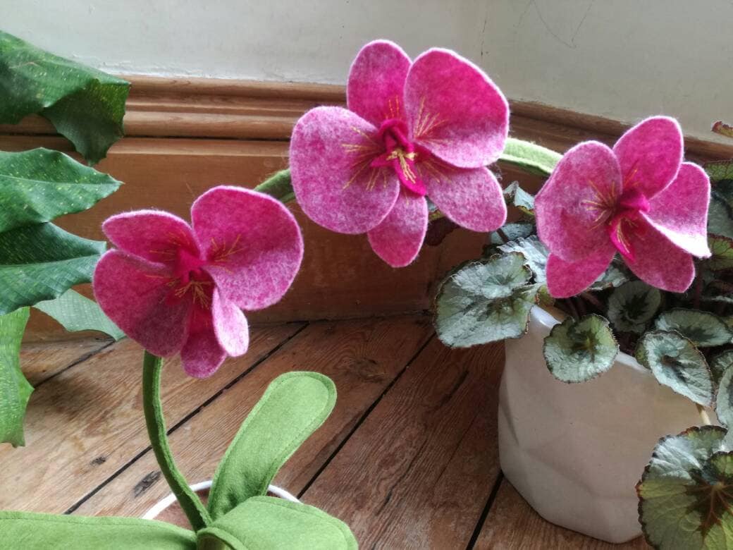 Marl Cerise Pink Orchid Felt Orchid Orchid Houseplants - Etsy UK