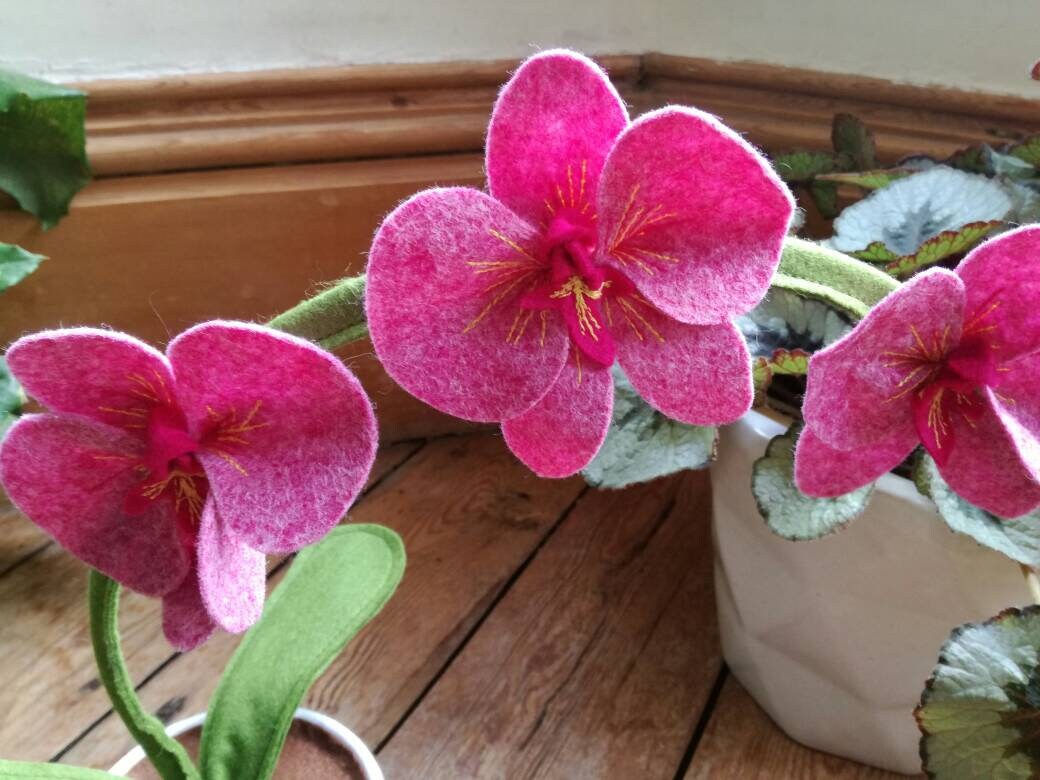 Marl Cerise Pink Orchid Felt Orchid Orchid Houseplants - Etsy UK