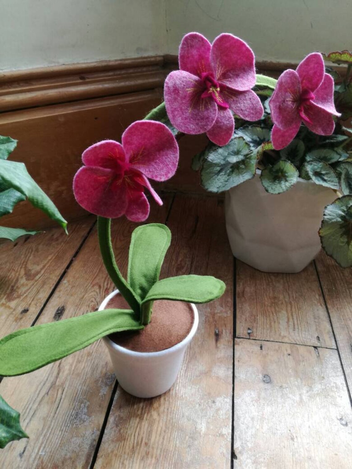 Marl Cerise Pink Orchid Felt Orchid Orchid Houseplants - Etsy UK