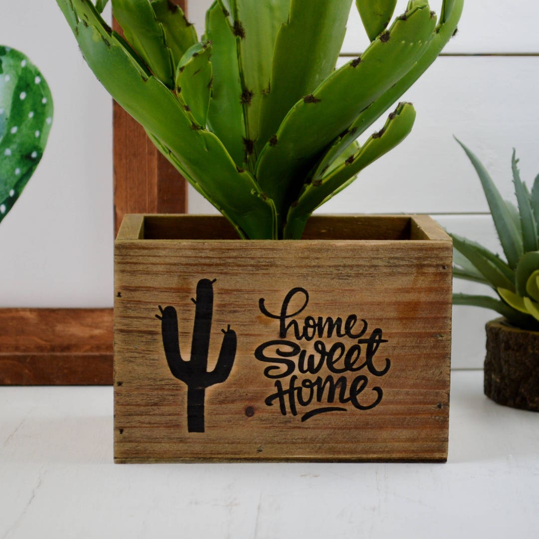 Cactus Planter Box, Succulent Planter, Indoor Cactus Planter Pot ...