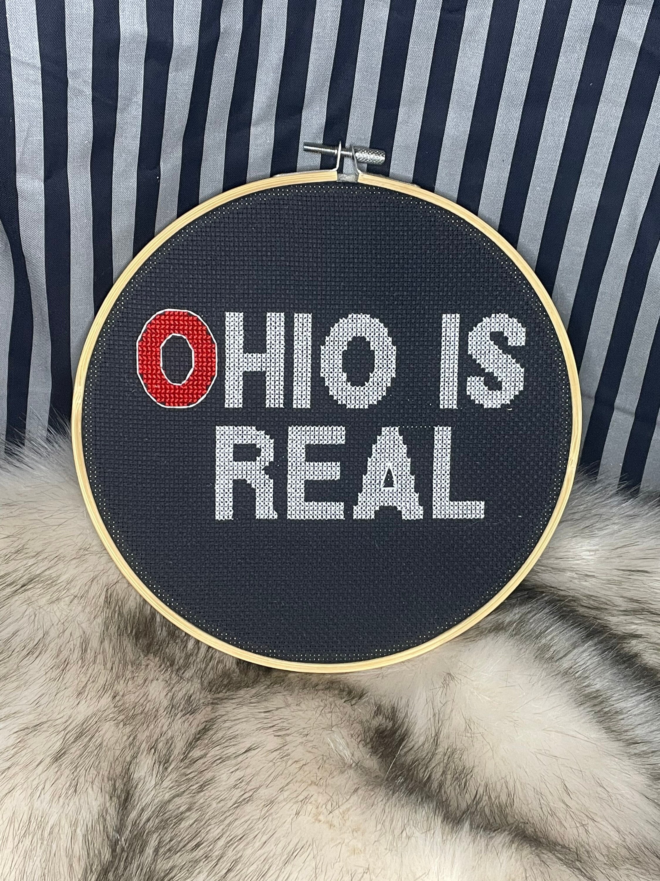 Ohio is Real Hell is Real Sign Parody Cross Stitch - Etsy