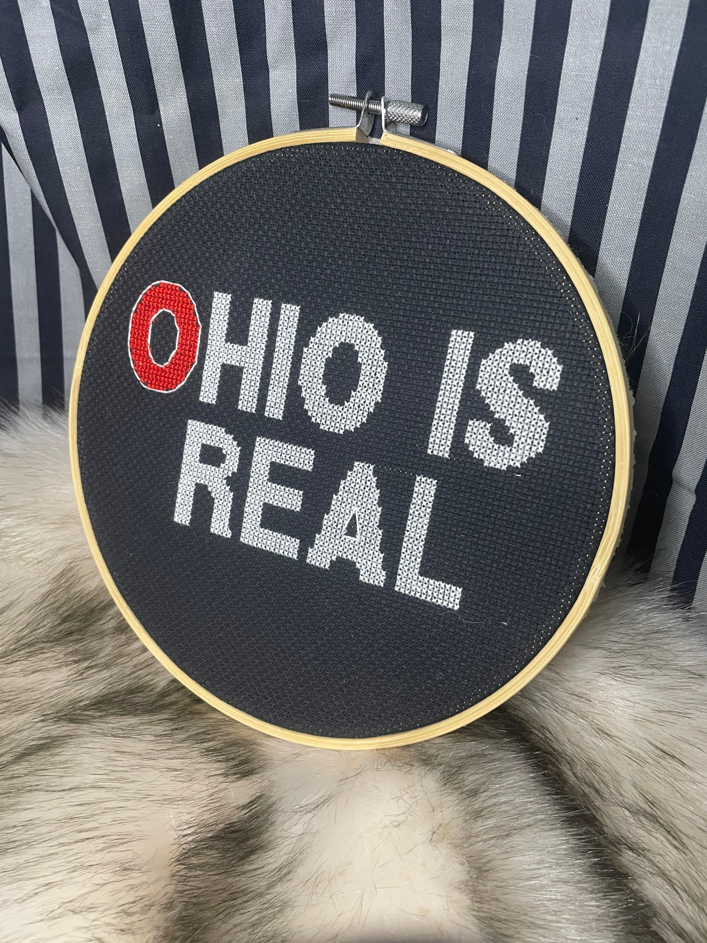 Ohio is Real Hell is Real Sign Parody Cross Stitch - Etsy