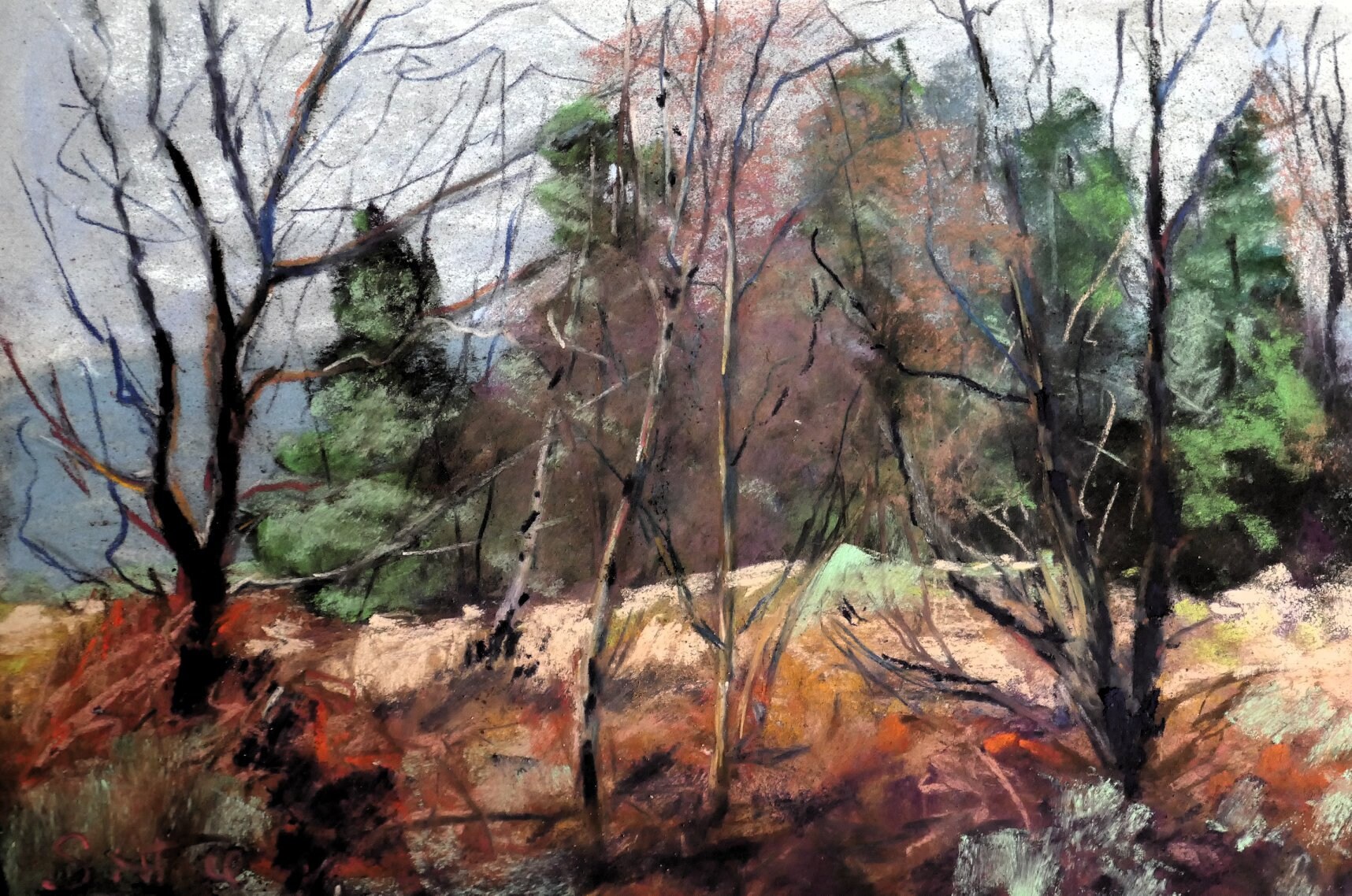 SOLD - Woodland in Early Autumn - Original Pastel Painting - Etsy
