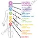 Seven Chakras Soap, Seven Chakras, 7 Chakras Soap, 7 Chakras, Chakra ...