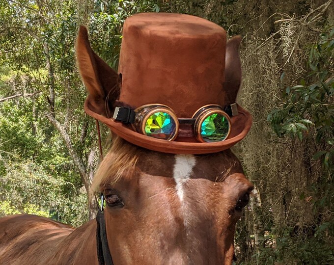 Steampunk Brown Coachman Hat With Goggles for Horses Equine Hat - Etsy