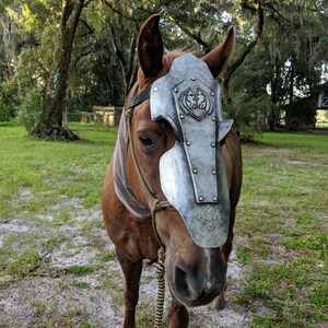 Coburg Chanfron Horse Face Armor in Aged Silver With Eye Guards ...