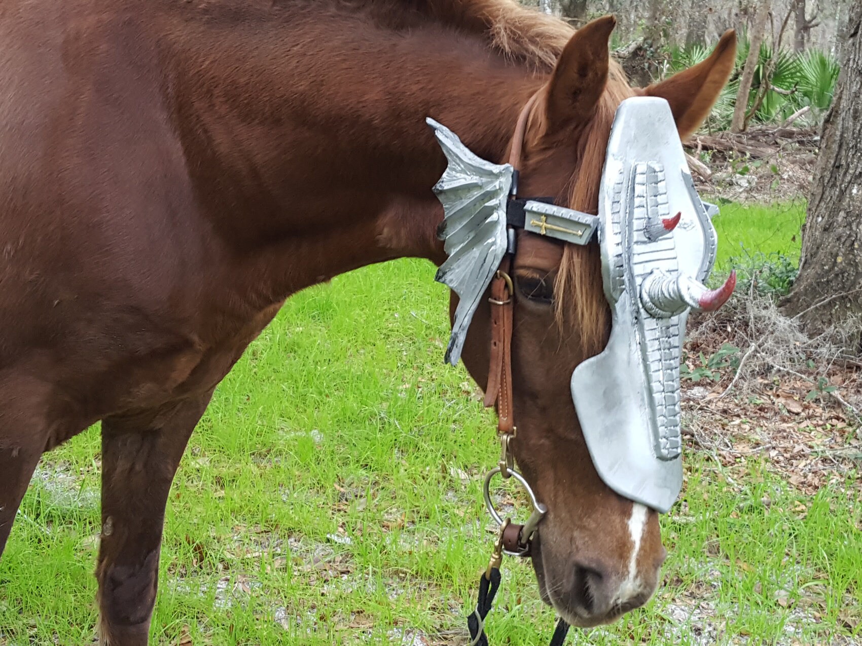 Dragon Slayer Horse Chanfron Face Armor in Silver Medieval | Etsy