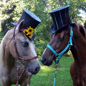 Coachman Top Hat for Horses Foam Equine Formal Hat for - Etsy