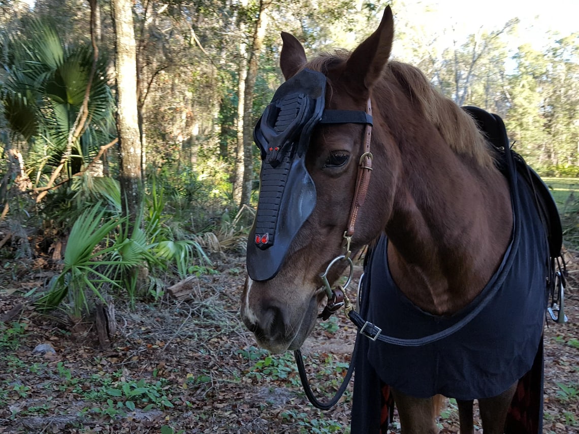 Dragon Warrior Horse Chanfron Face Armor Medieval Equine - Etsy Canada