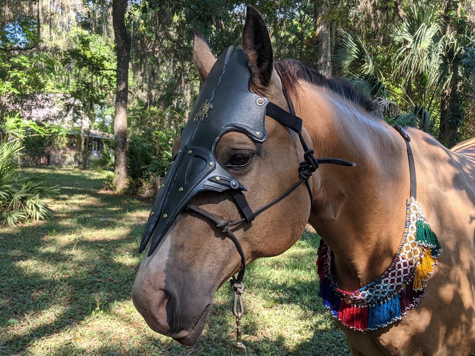 Chivalry Chanfron Horse Face Armor Medieval Equine Foam - Etsy