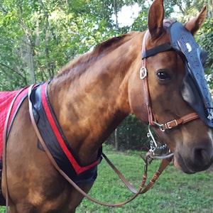 Celtic Warrior Horse Chanfron Face Armor in Black With Red Highlights ...