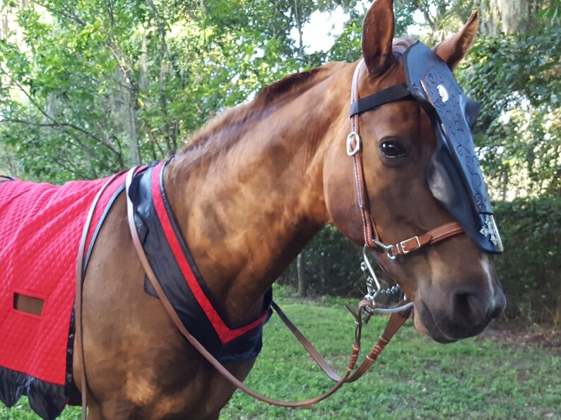 Celtic Warrior Horse Chanfron Face Armor in Black With Red | Etsy