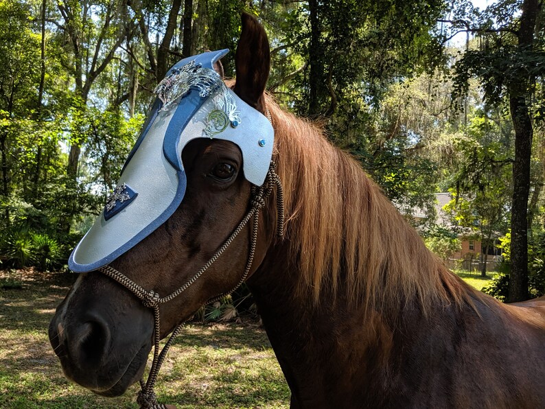 Crusader Horse Chanfron Face Armor Medieval Equine Armor - Etsy