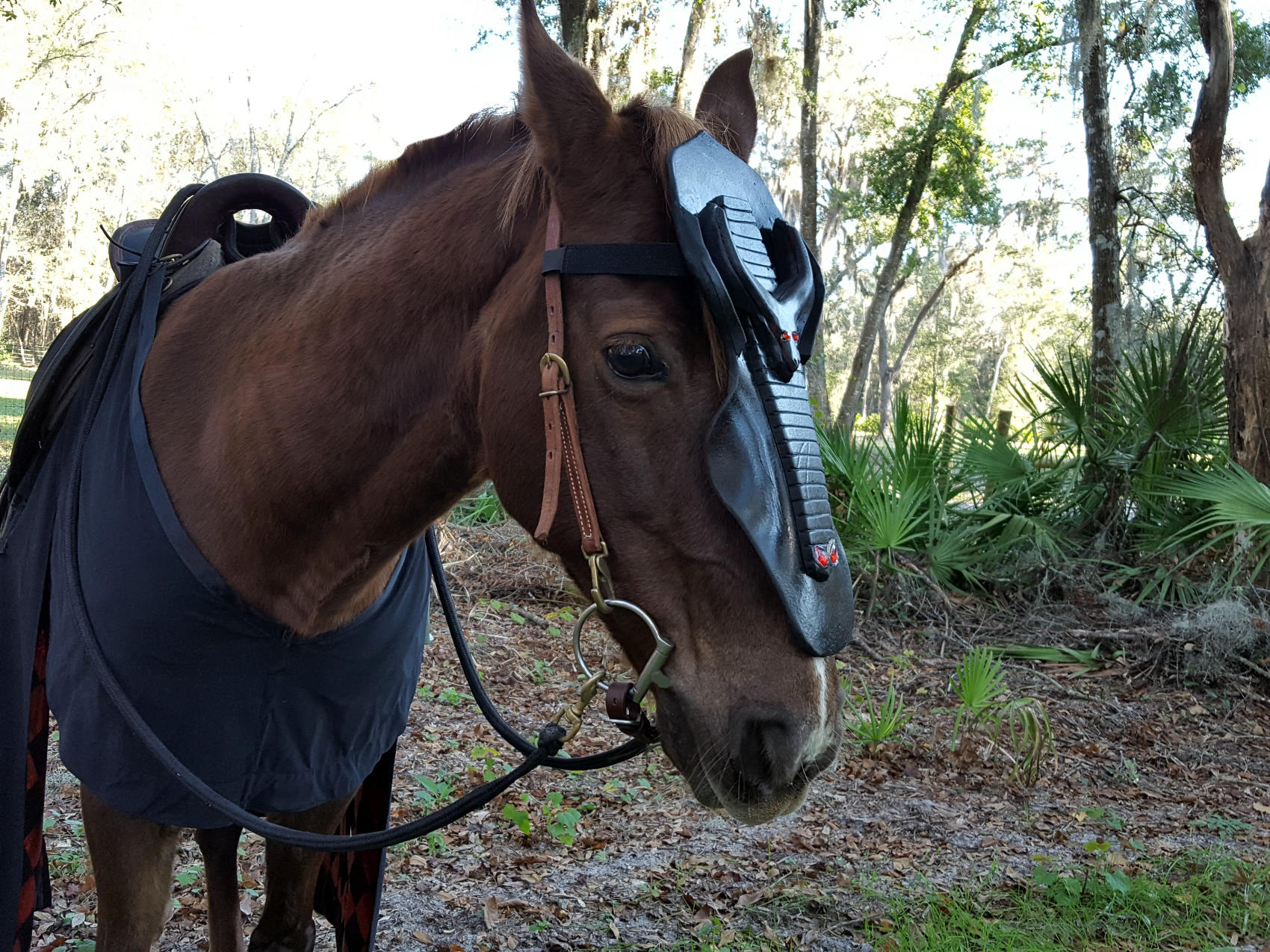 Dragon Warrior Horse Chanfron Face Armor Medieval Equine | Etsy Canada