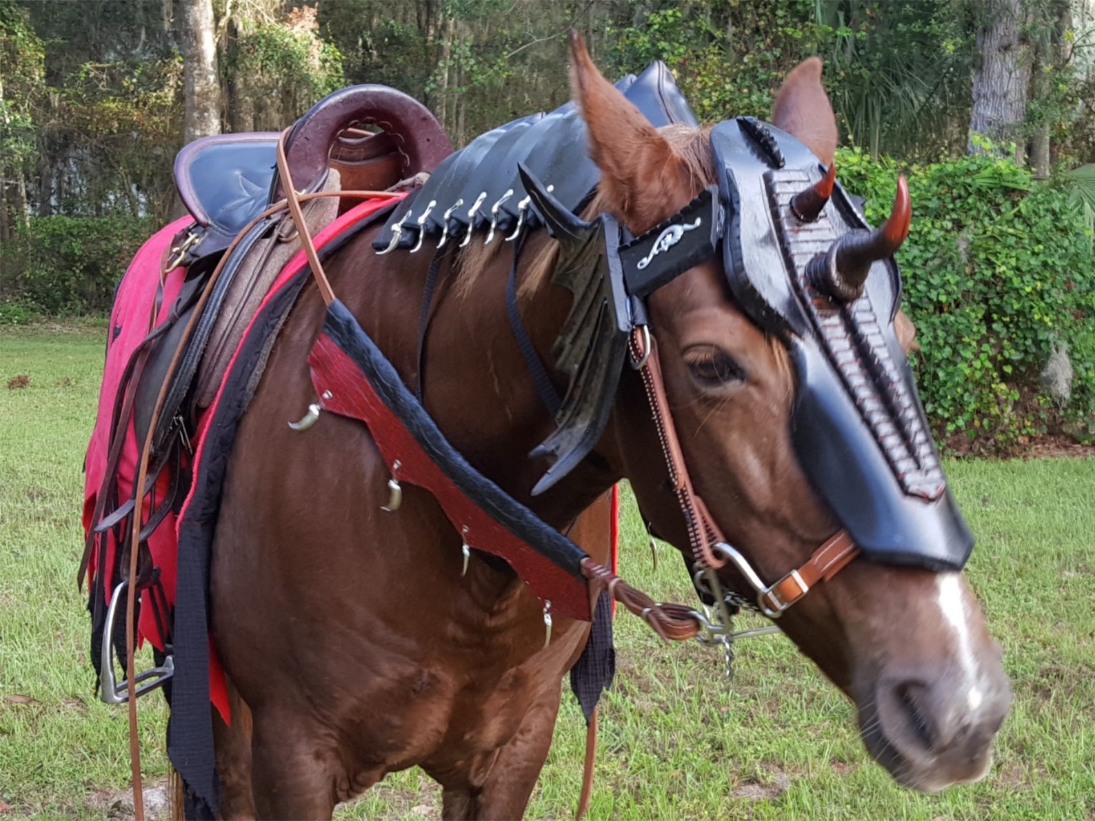 Crinet Crest of Neck Foam Armor for Horses or Ponies - Etsy
