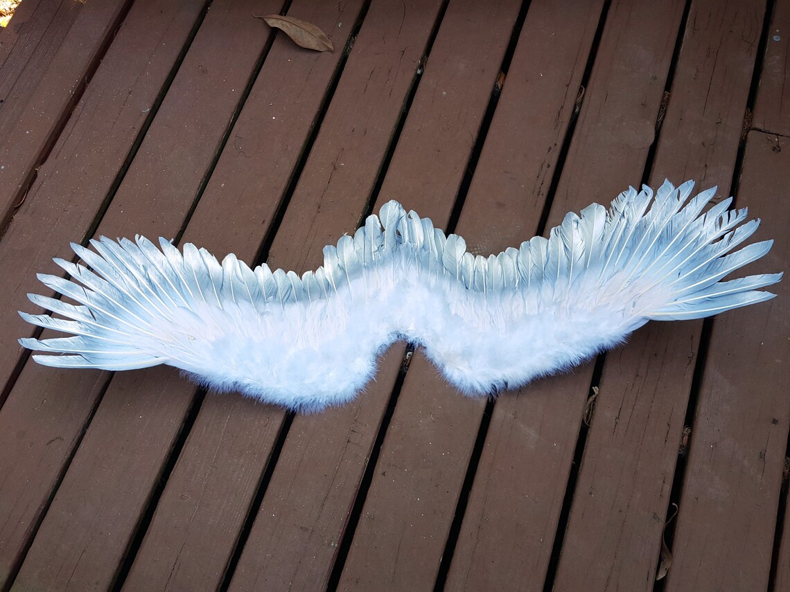 Gold Silver Pink Purple or Blue Horse Wings Feathered Wings | Etsy