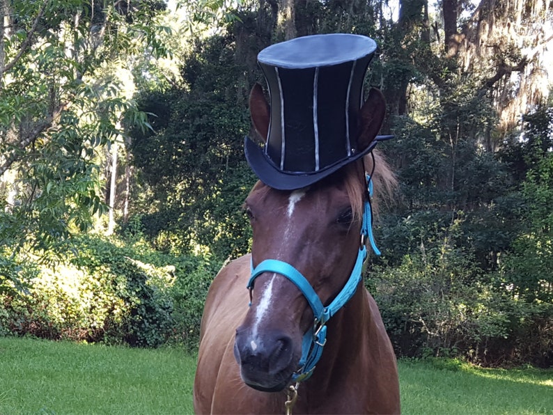 Coachman Top Hat for Horses Foam Equine Formal Hat for - Etsy