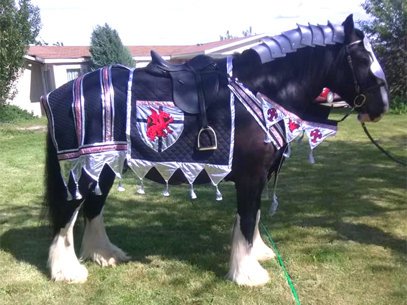 Crinet Crest of Neck Foam Armor for Horses or Ponies - Etsy