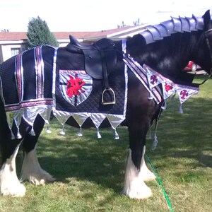 Crinet Crest of Neck Foam Armor for Horses or Ponies Criniere Medieval ...