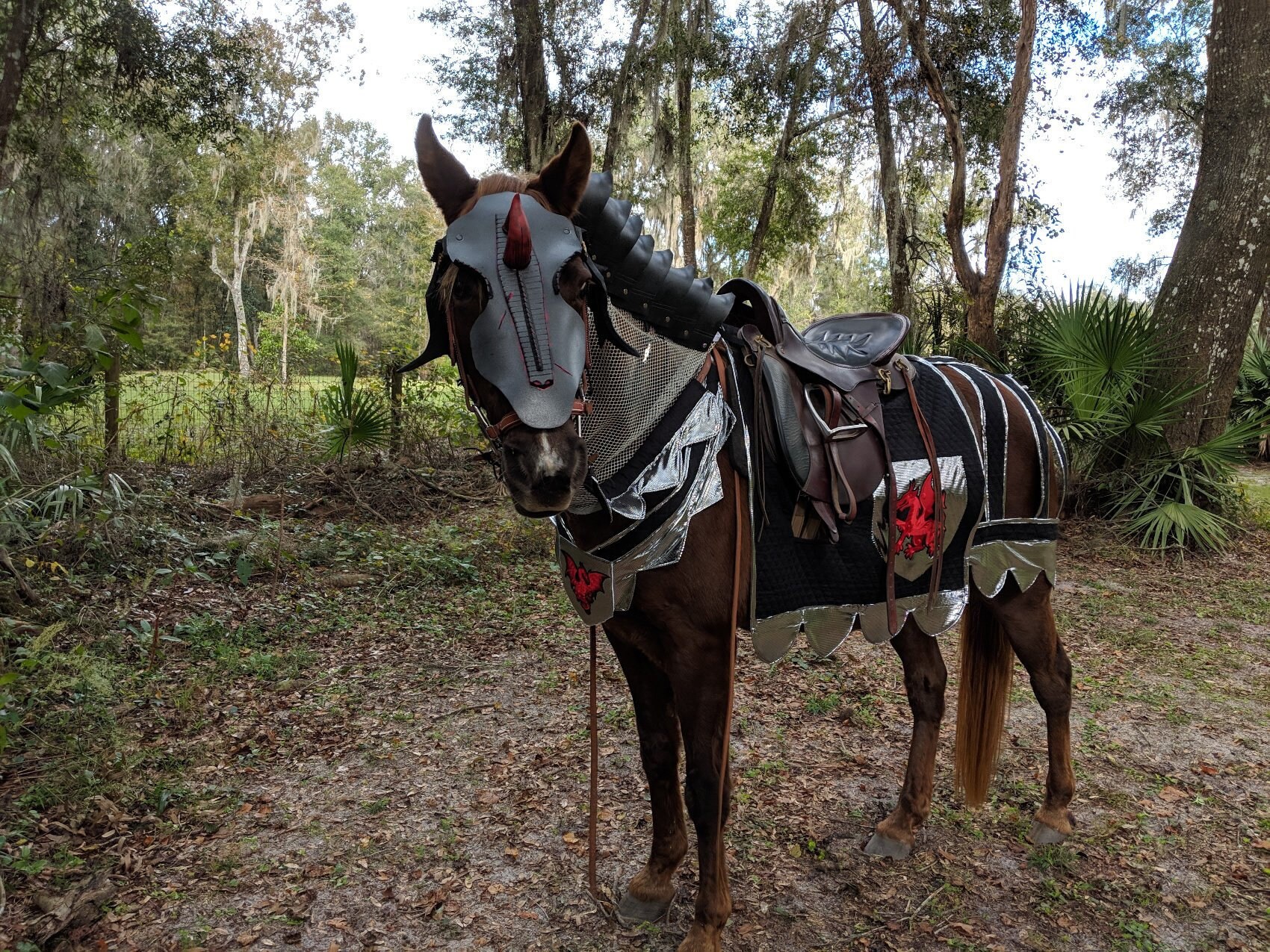 Red Dragon Slayer Horse Costume Medieval Barding Costume | Etsy