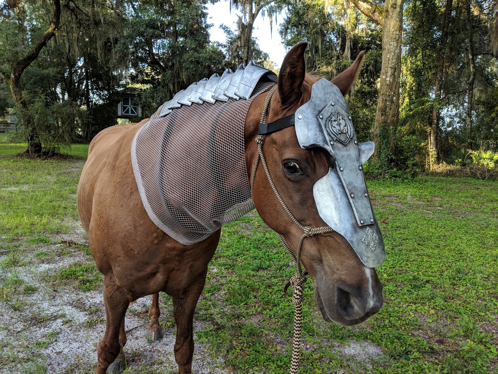 Coburg Chanfron Horse Face Armor in Aged Silver with Eye | Etsy