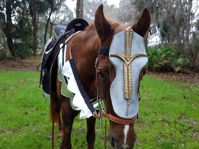 Roman Warrior Horse Chanfron Face Armor Medieval Equine - Etsy