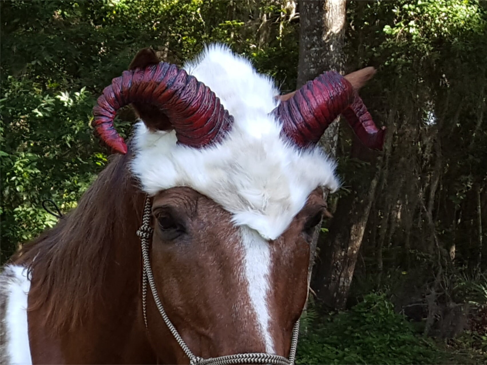 Satyr Horse Horns Rams Horns for Horses With Choice of Faux | Etsy