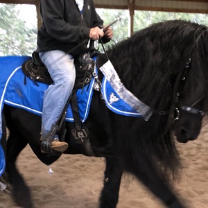 Dragon Hunter Horse Costume Medieval Barding Costume Equine Jousting ...