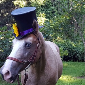 Coachman Top Hat for Horses Foam Equine Formal Hat for - Etsy