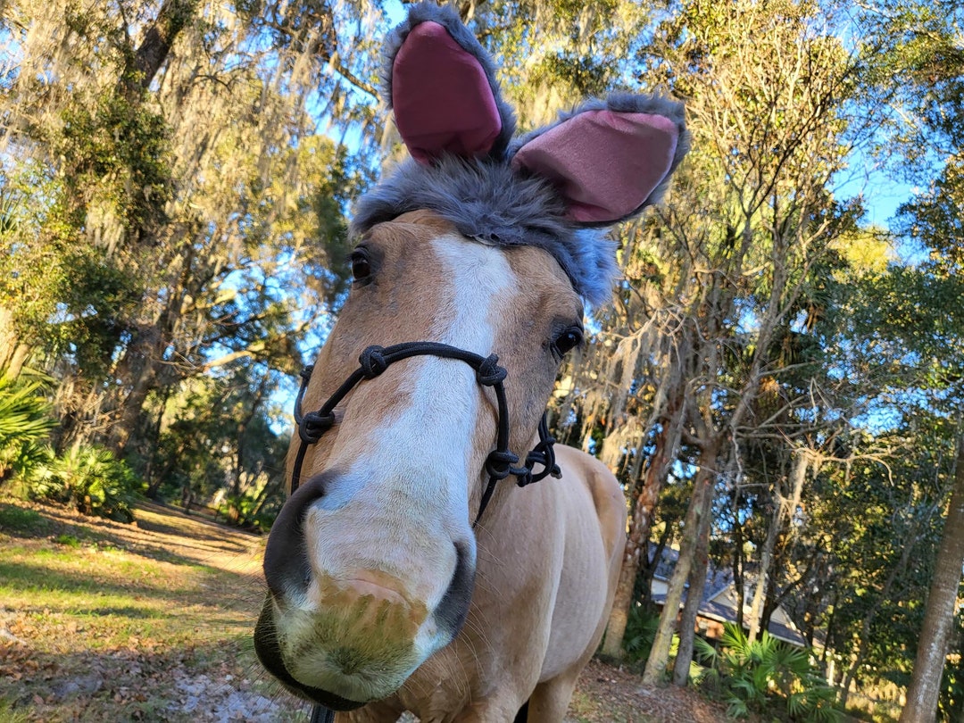 My Bunny Hat for Any Size Equine Soft Equine Rabbit Ears Hat Fun Horse ...