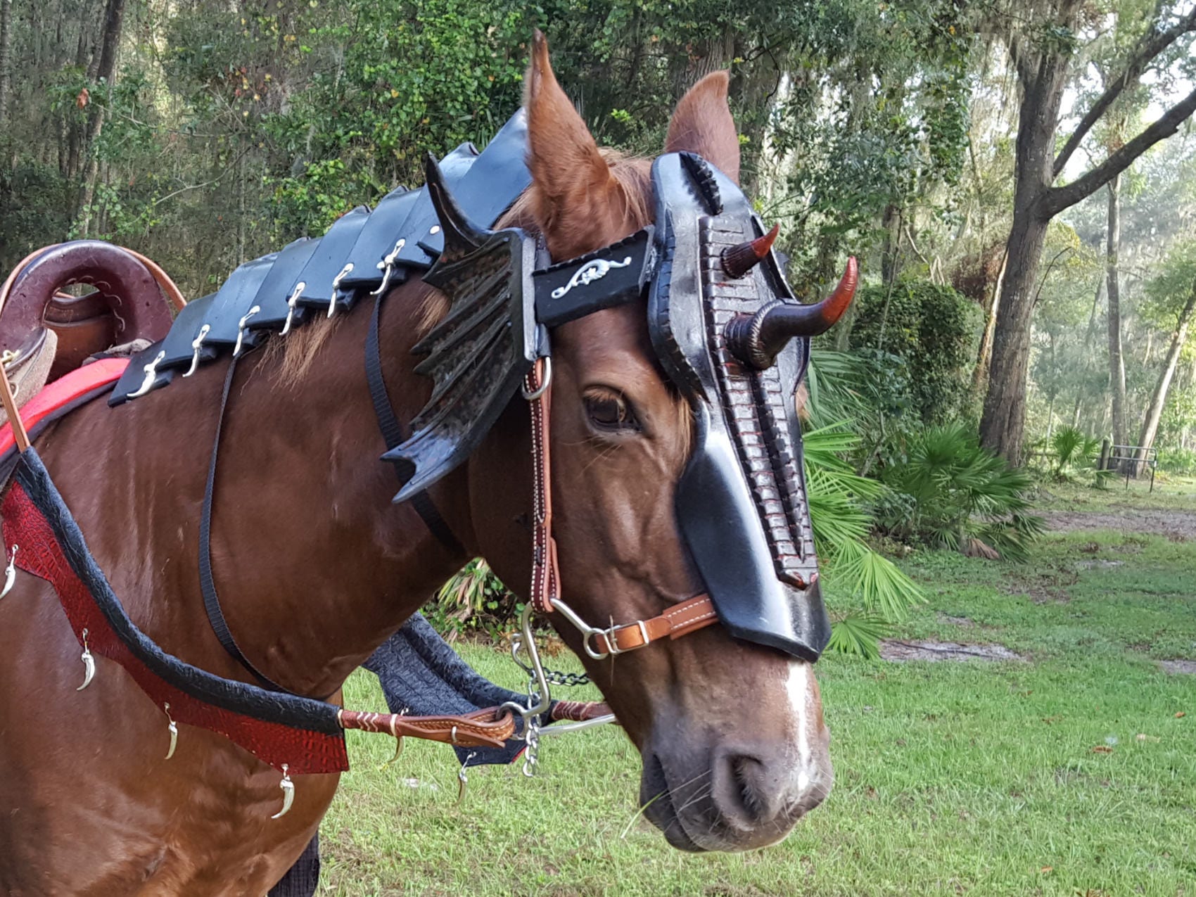 Dragon Slayer Horse Chanfron Face Armor in Silver Medieval | Etsy