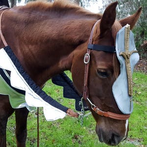 Roman Warrior Horse Chanfron Face Armor Medieval Equine Armor Barding ...