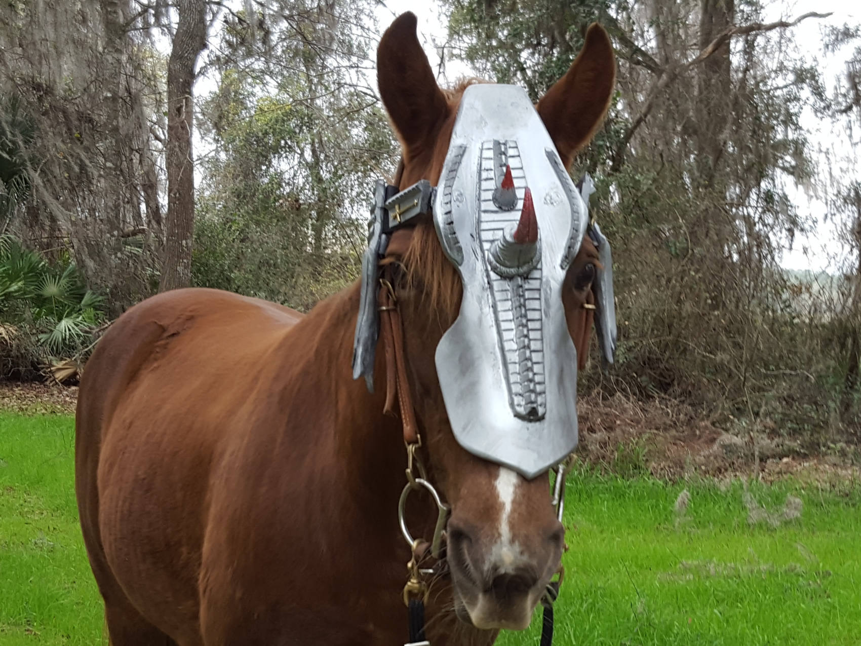 Dragon Slayer Horse Chanfron Face Armor in Silver Medieval | Etsy