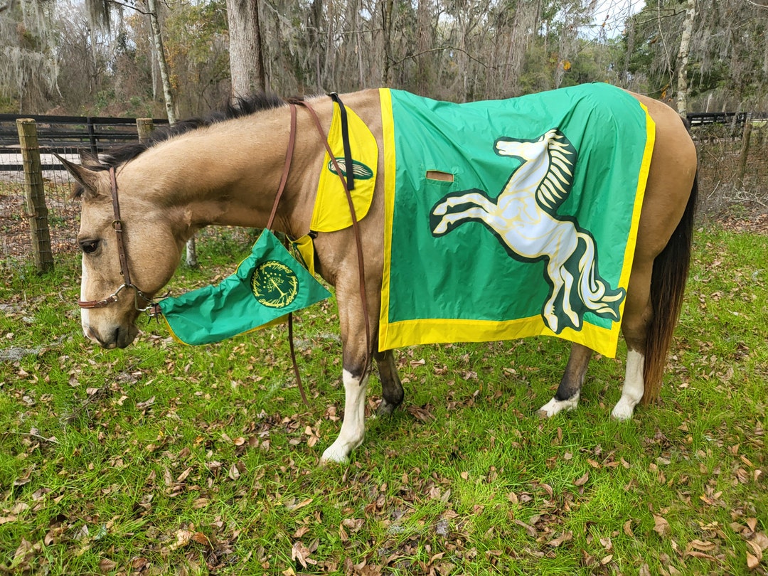 Warrior Horse Costume Medieval Barding Costume Equine Jousting ...