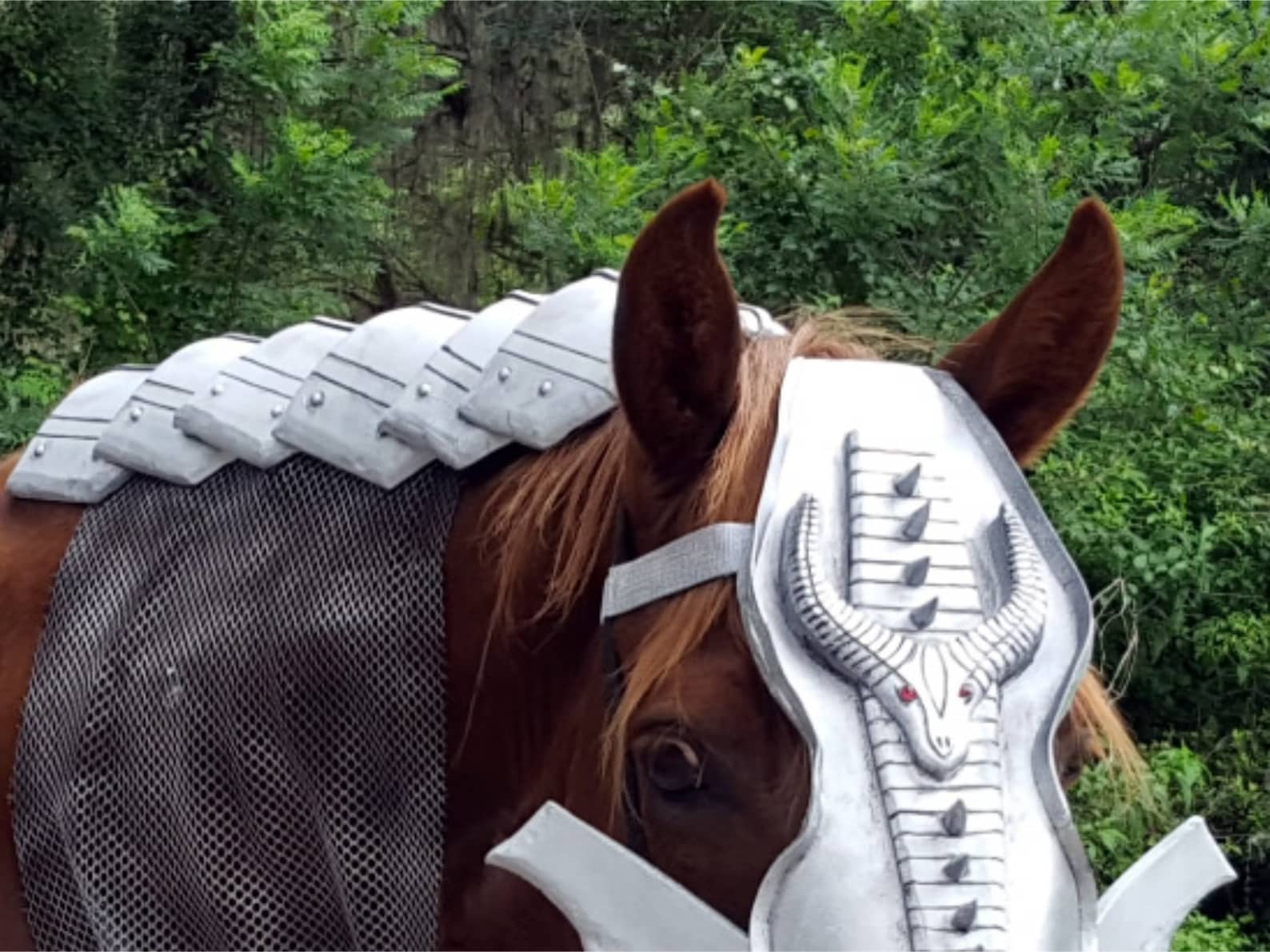 Crinet Crest of Neck Foam Armor for Horses or Ponies - Etsy