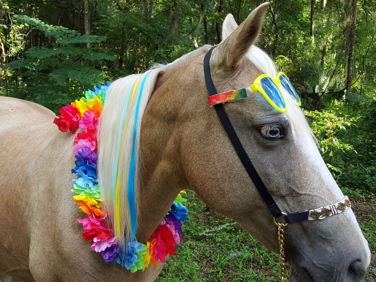 Aloha Beach Costume for Drafts Horses or Ponies Colorful - Etsy