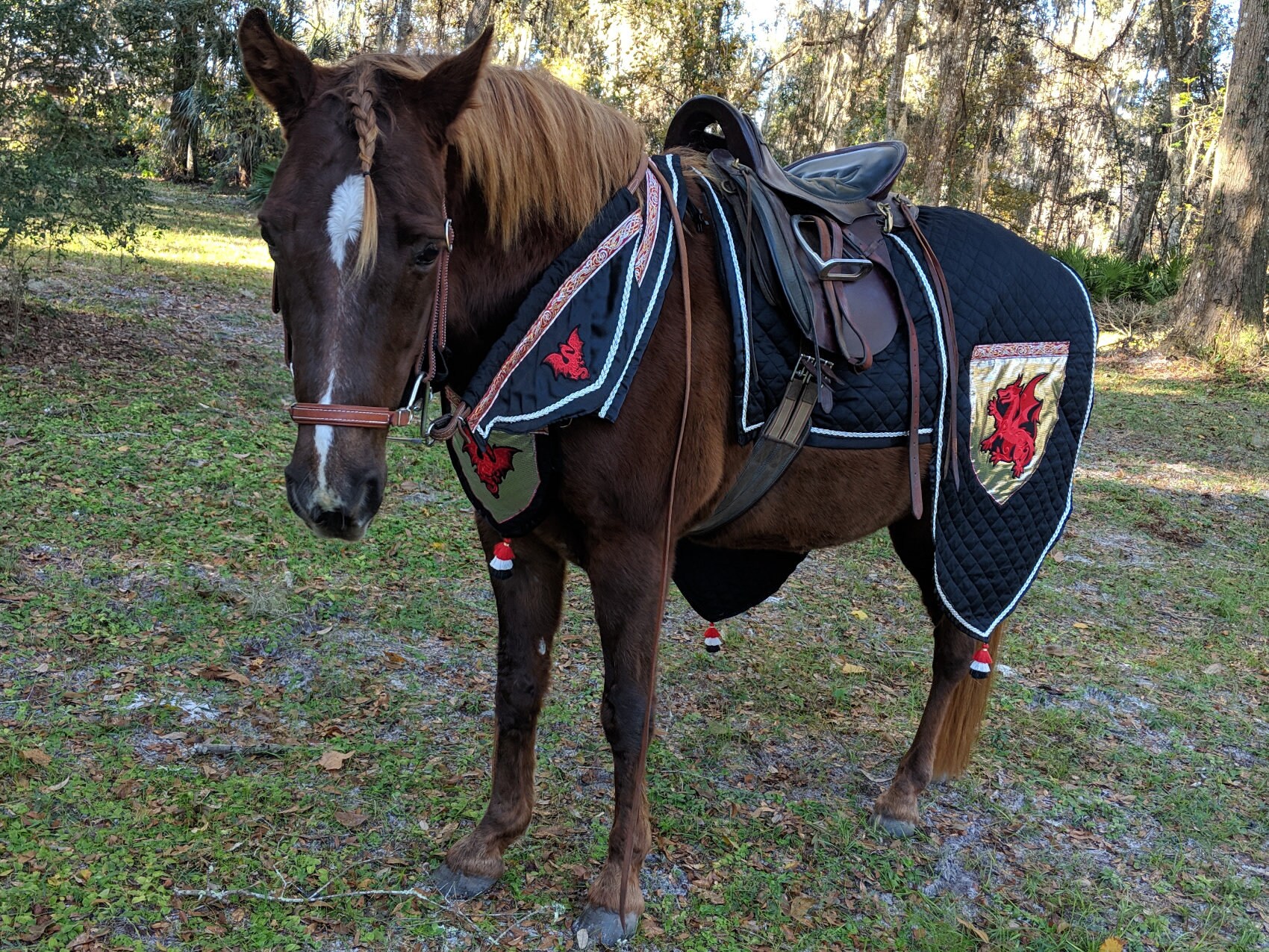 Medieval Horse Costume Tack
