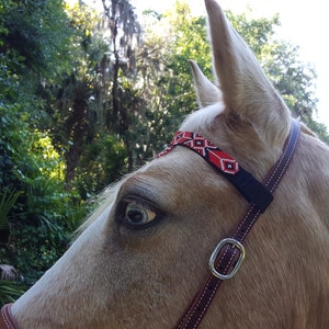 Red Eye of Medicine Man Seed Beaded Equine Browband Native - Etsy