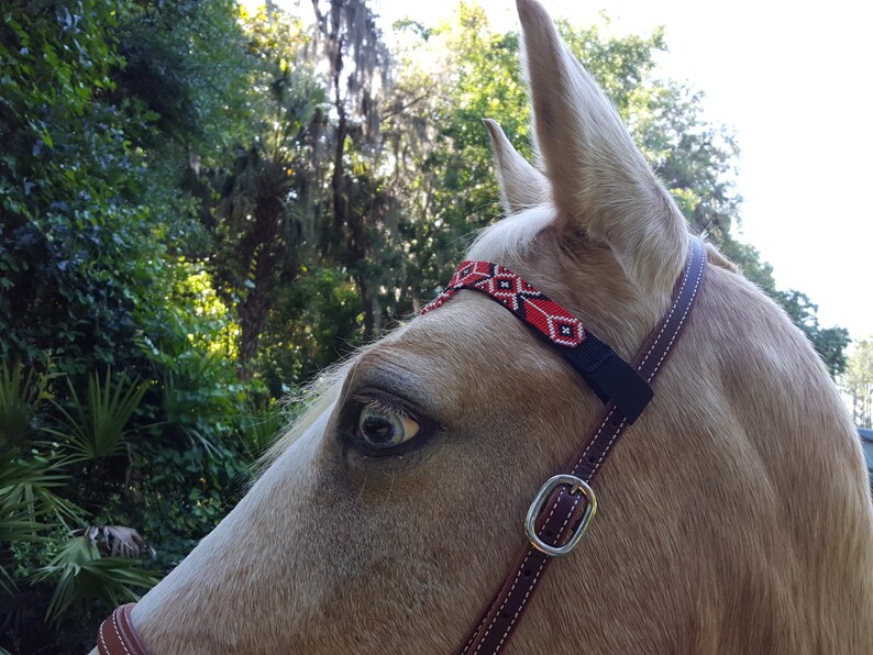Red Eye of Medicine Man Seed Beaded Equine Browband Native - Etsy