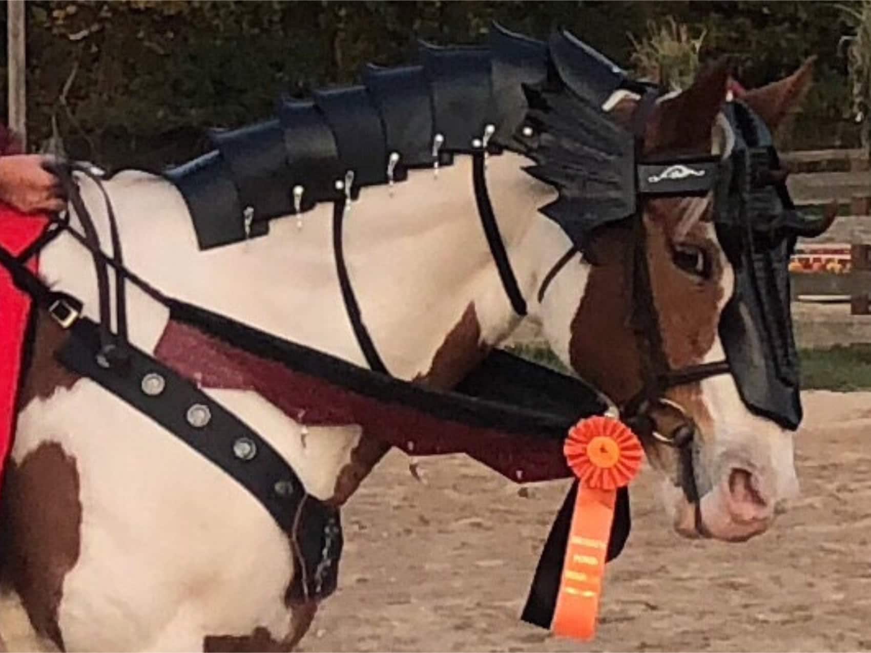 Crinet Crest of Neck Foam Armor for Horses or Ponies - Etsy Canada