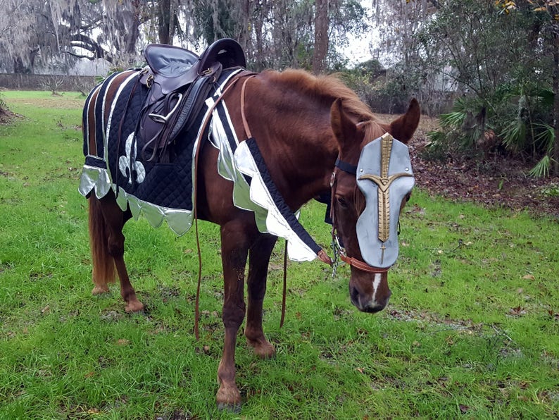 Roman Warrior Horse Chanfron Face Armor Medieval Equine - Etsy