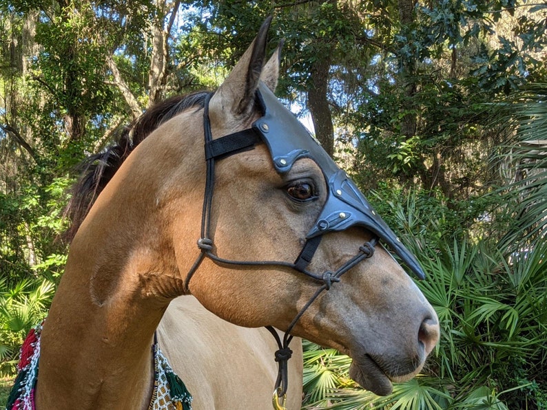 Chivalry Chanfron Horse Face Armor Medieval Equine Foam - Etsy