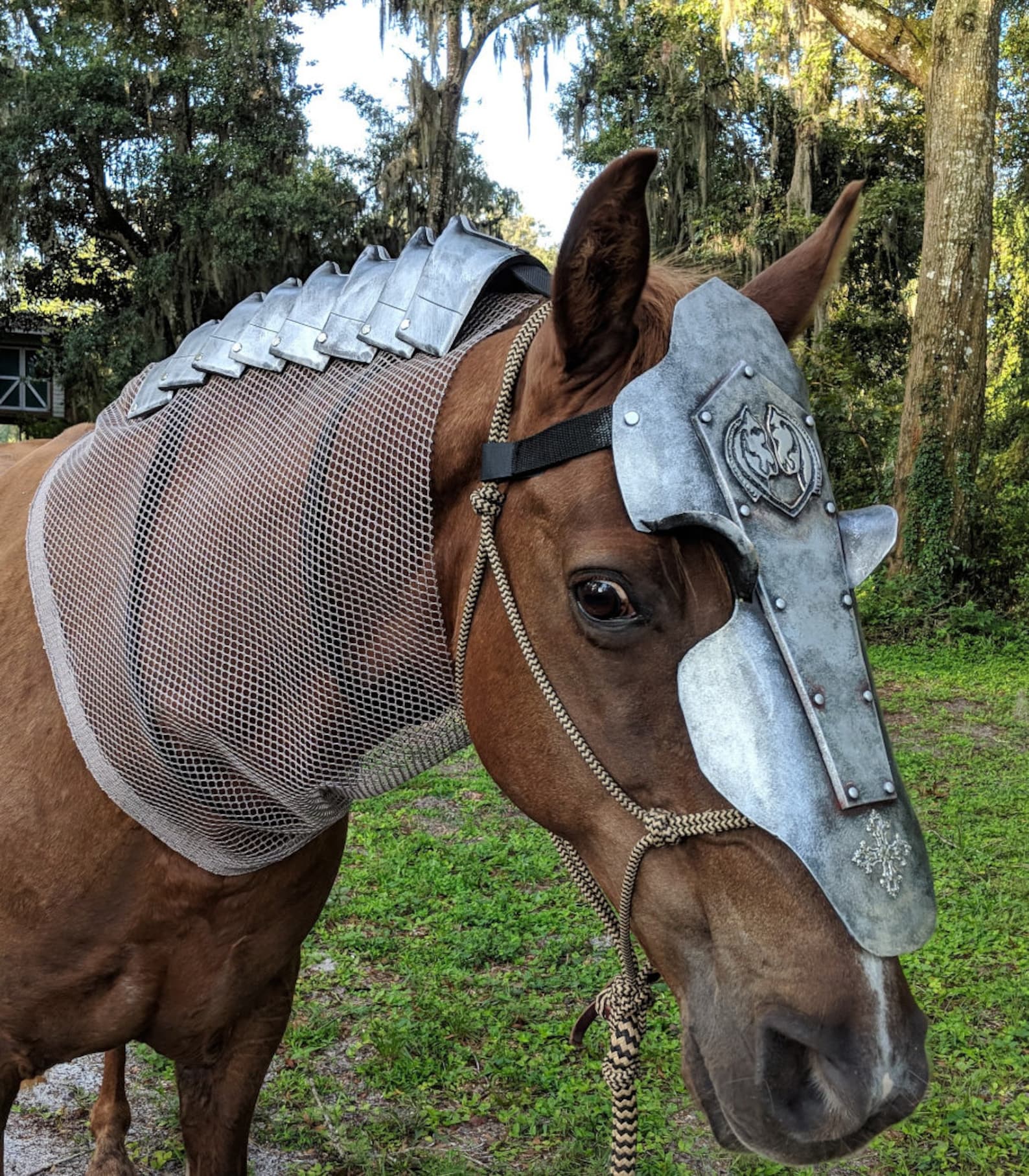 Coburg Chanfron Horse Face Armor in Aged Silver With Eye | Etsy