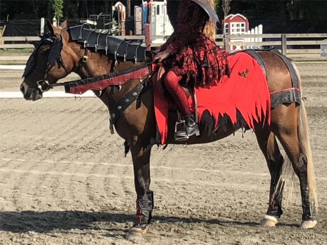 Crinet Crest of Neck Foam Armor for Horses or Ponies - Etsy