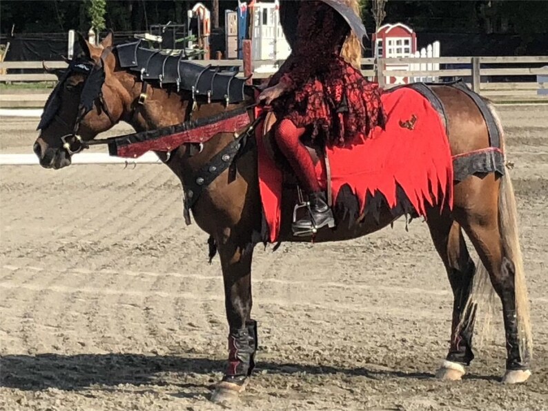 Crinet Crest of Neck Foam Armor for Horses or Ponies - Etsy