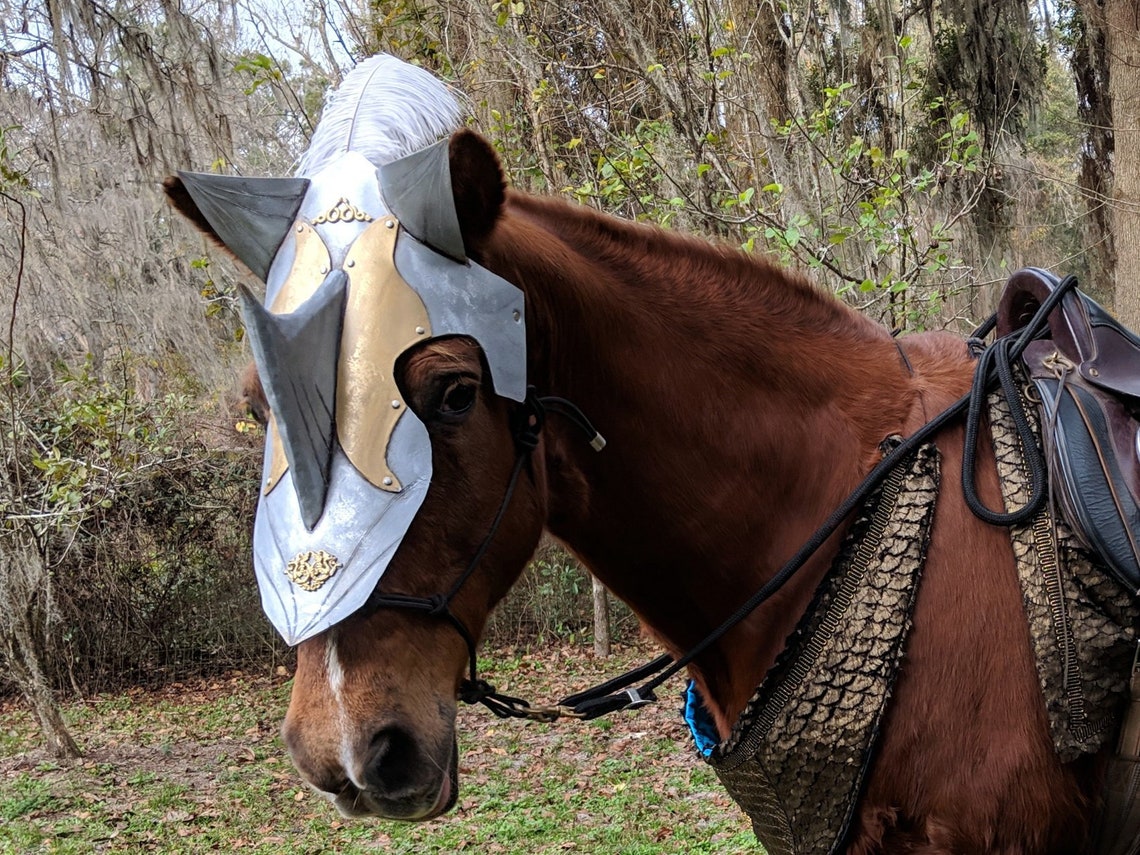 Dinosaur Trainer Chanfron Horse Face Armor in Aged Silver With | Etsy