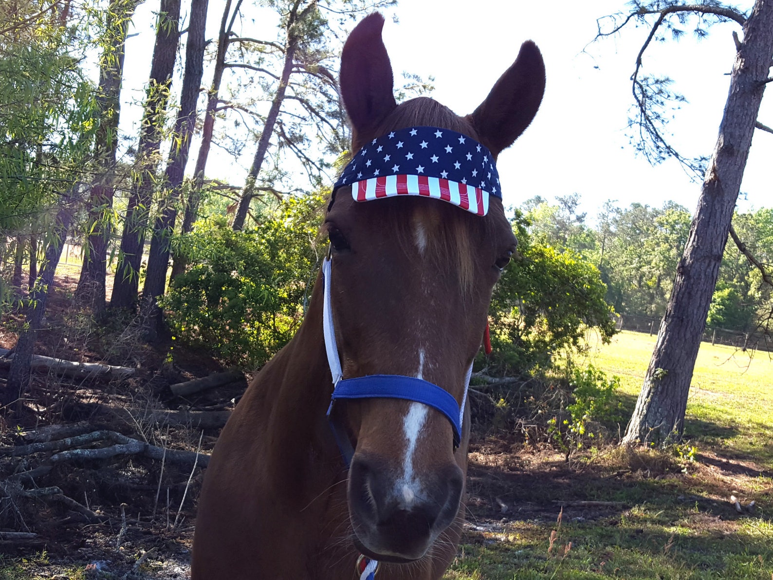 Patriotic Equine Visor Cap Red White Blue Horse Brow Band - Etsy