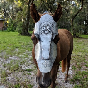 Coburg Chanfron Horse Face Armor in Aged Silver With Eye Guards ...