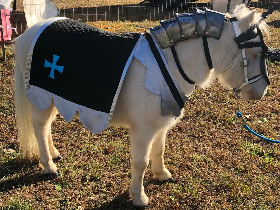 Destrier Horse Costume for Any Size Equine Horse Blanket and - Etsy