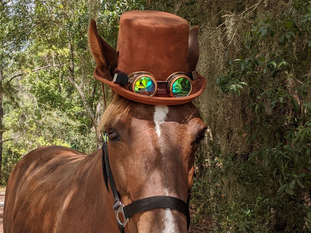 Steampunk Brown Coachman Hat With Goggles for Horses Equine Hat - Etsy